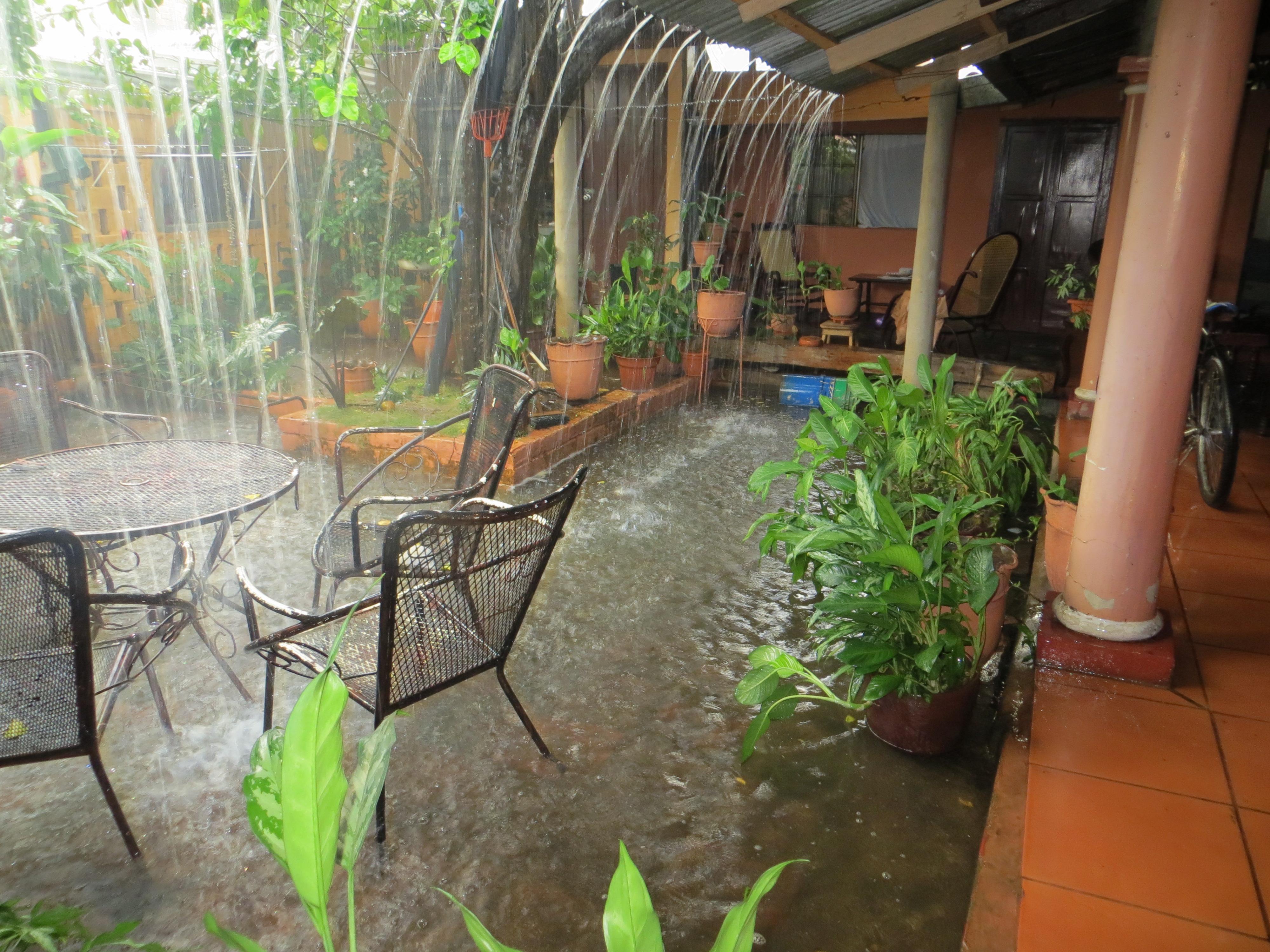 First Rain | Incidents of Travel