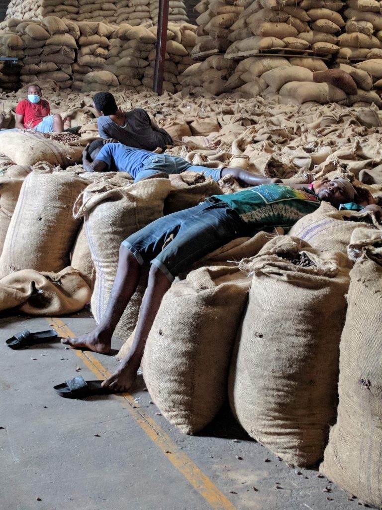 The Cocoa Supply Chain | Incidents of Travel